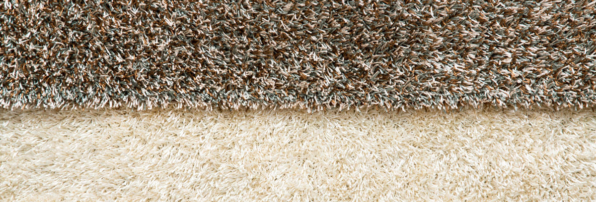 CARRERA SHAG & Loloi Rugs