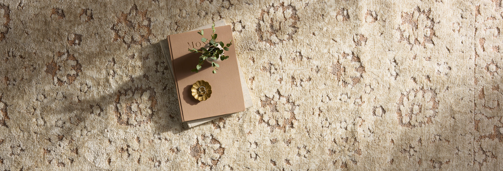 PERCIVAL & Loloi Rugs
