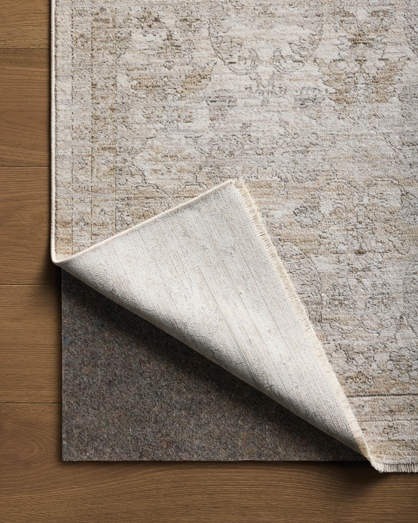 TAI-03 IVORY / KHAKI & Loloi Rugs