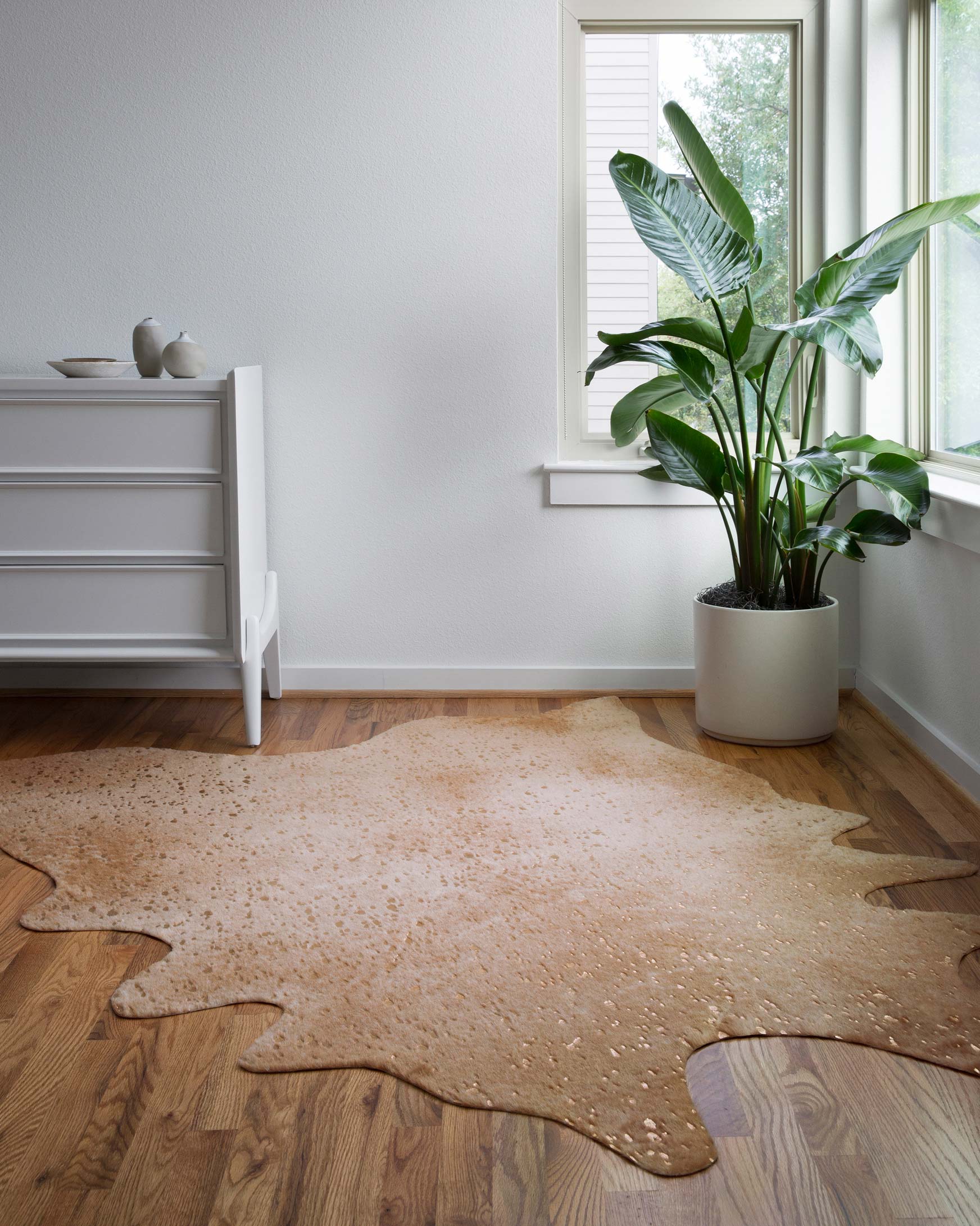 BZ-05 TAN / GOLD & Loloi Rugs