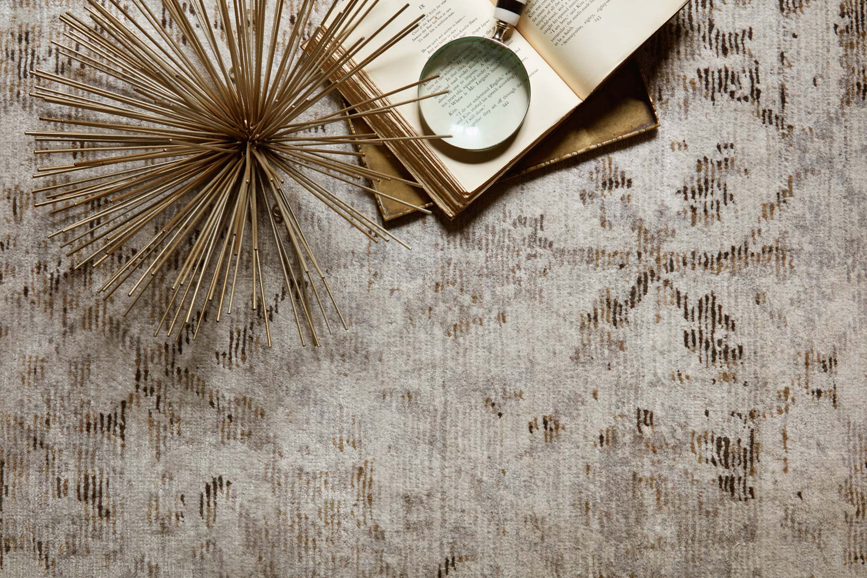 DL-01 SILVER / BARK & Loloi Rugs