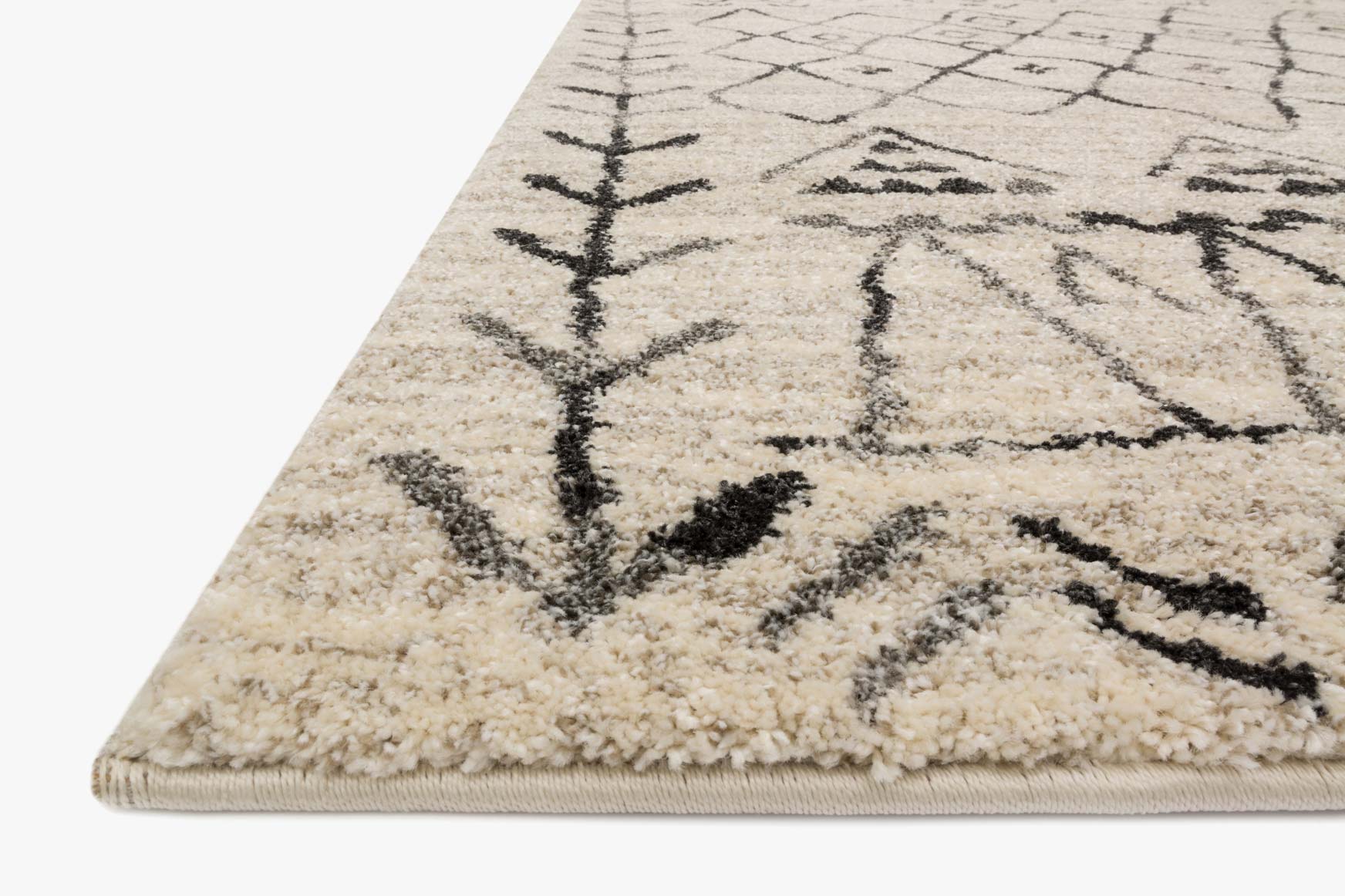 EB-01 IVORY / CHARCOAL & Loloi Rugs