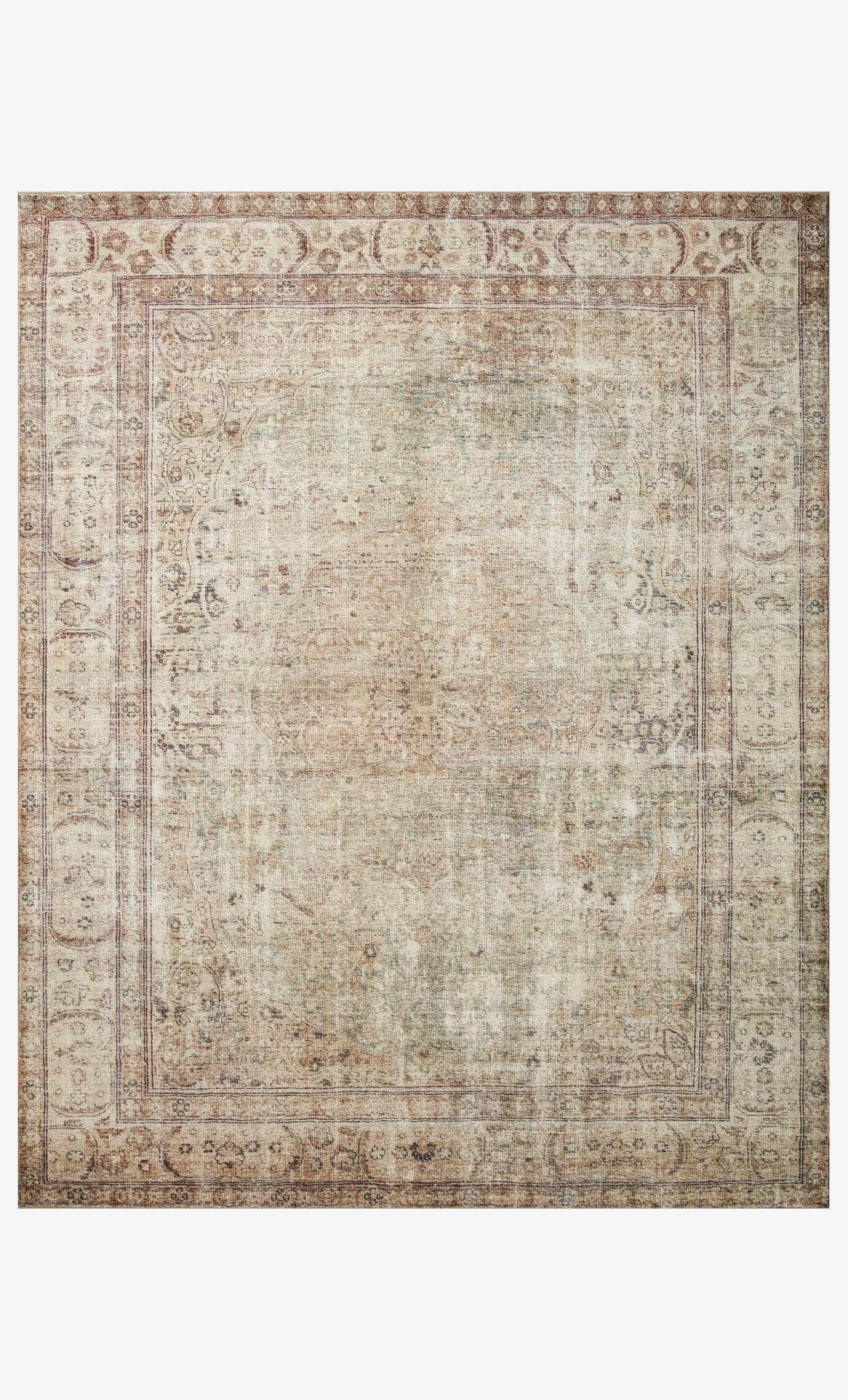 MARGOT & Loloi Rugs
