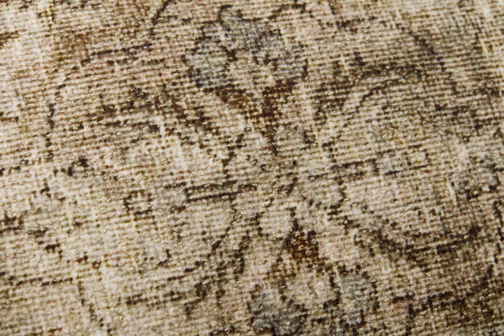 PLL0096 MULTI & Loloi Rugs