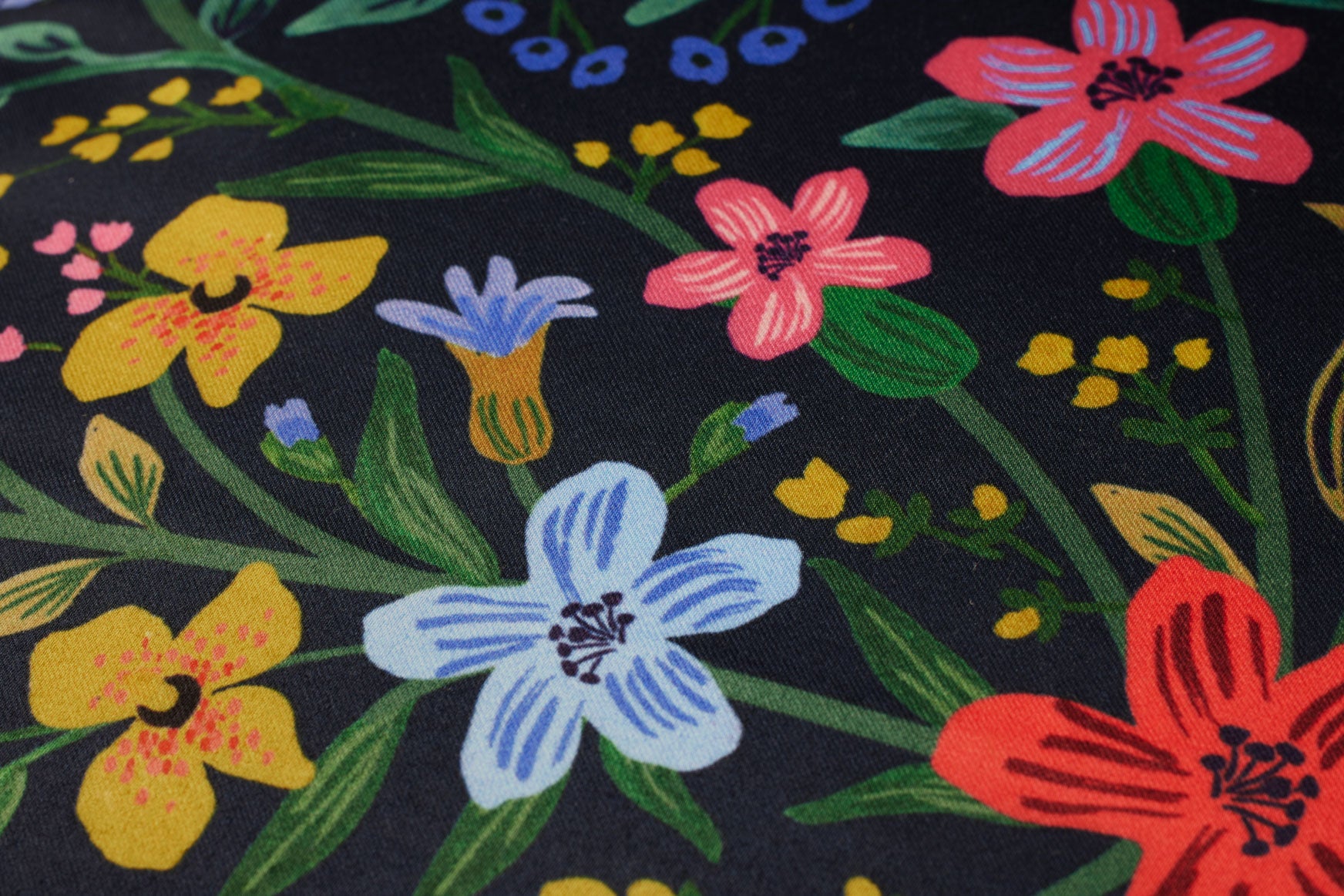 FLORAL MEDALLION PRP0042 NAVY & Loloi Rugs