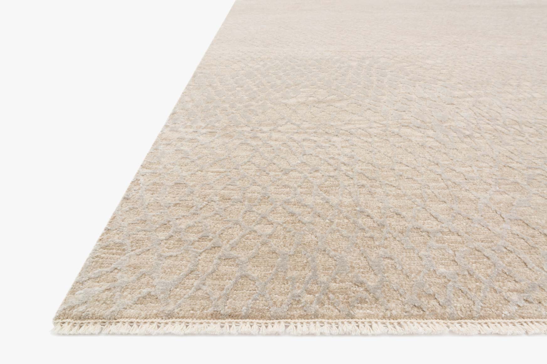 RHEA & Loloi Rugs